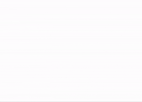 John Polacek | Animate In